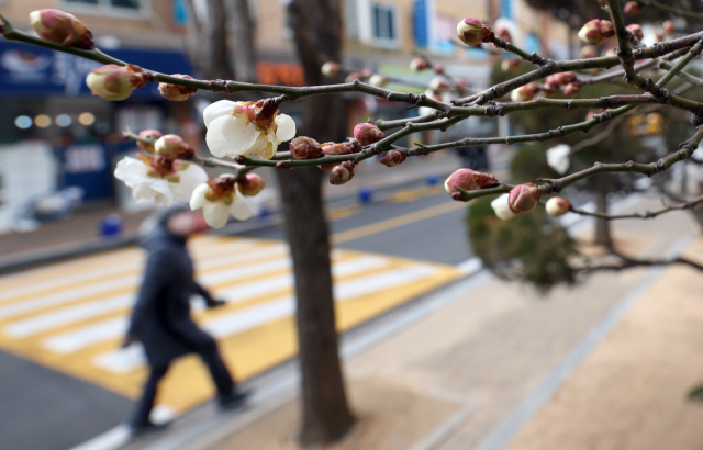 부산·울산 대체로 맑은 날씨 건조특보 발효돼 대기 건조